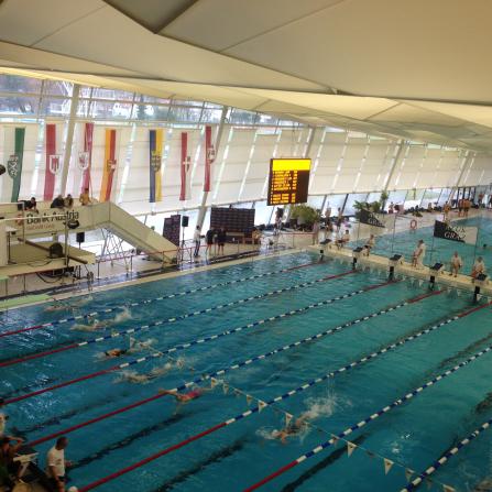 SCHWIMMEN im SchwimmClub im Theresianum WIEN - Wasser, Bewegung ...